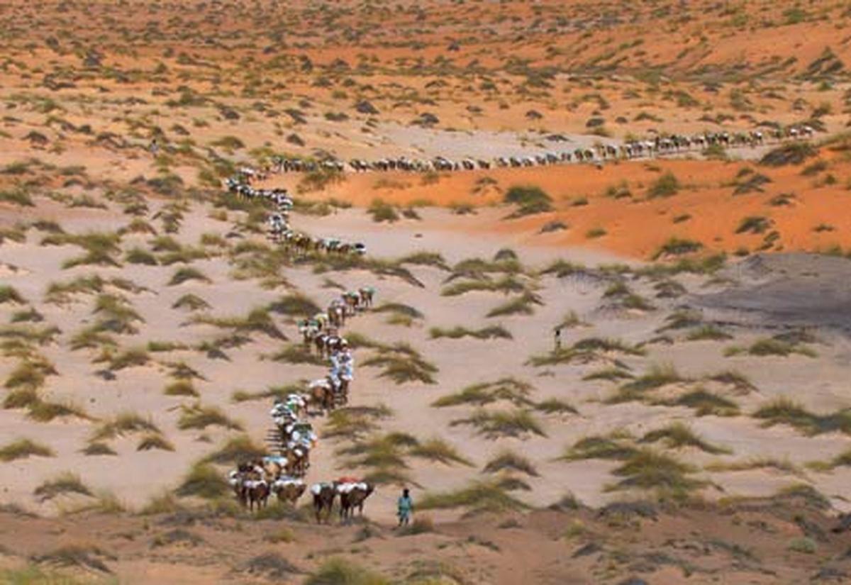 ''Die Erde von Oben'' als Film – DiePresse.com