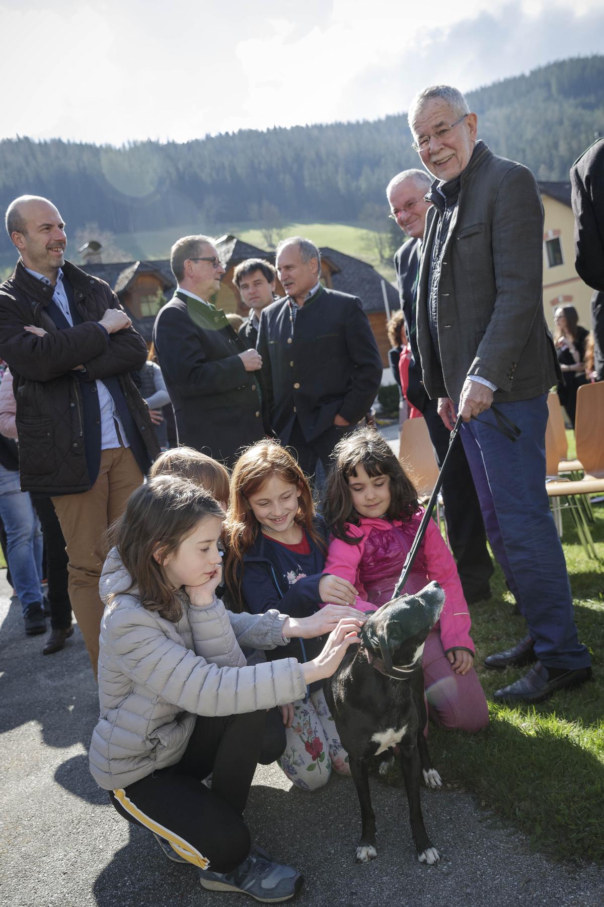 Van der Bellen hat neuen "First Dog" – DiePresse.com