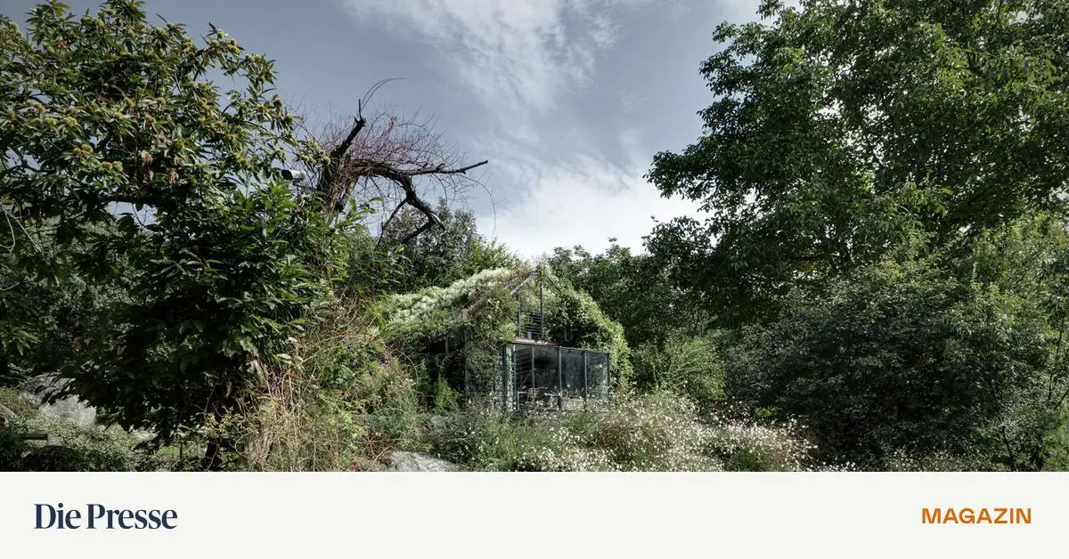 Architektur, die atmet – DiePresse.com