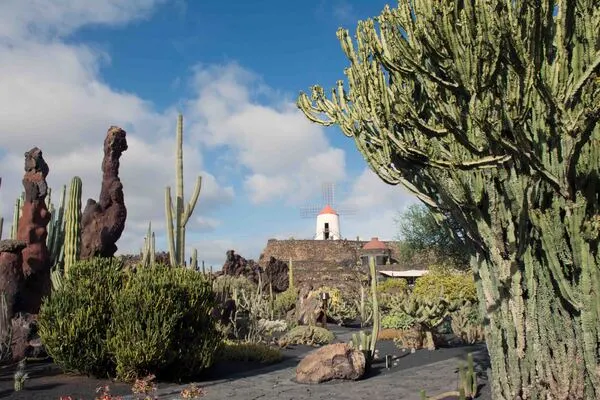 Lanzarote im Nordosten: Organische Architektur und Kakteen in der ...