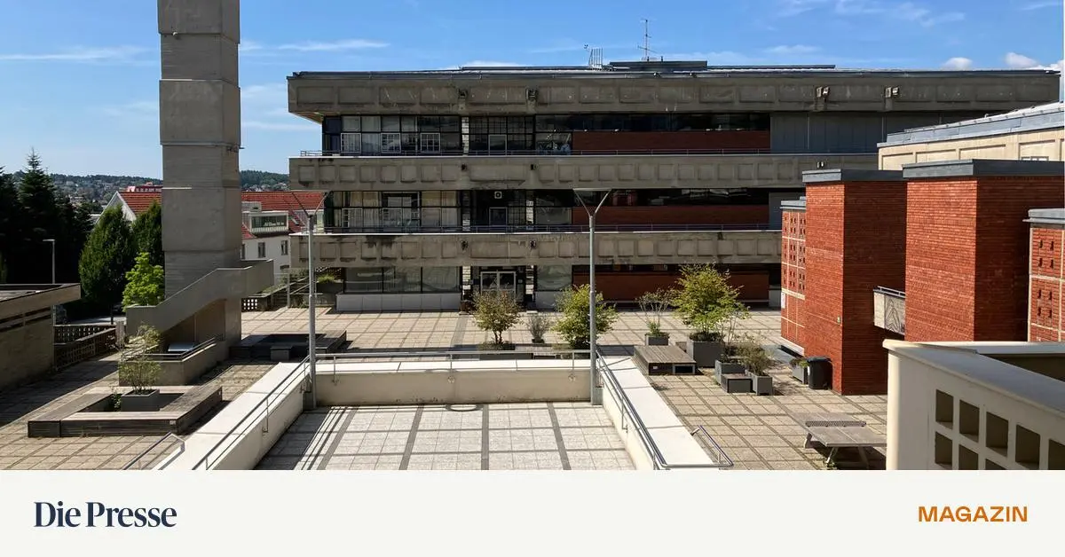 Für diese steirische Schule gilt: Gefahr in Verzug – DiePresse.com