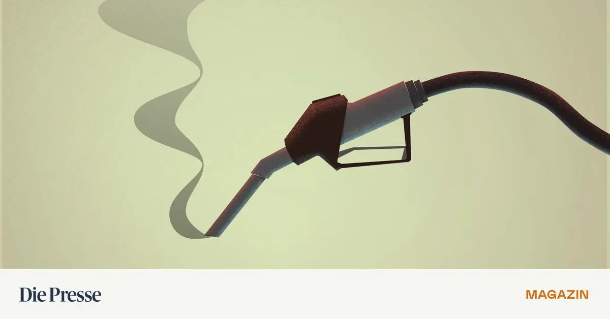 Dieselgate: Und wieder ist der EuGH am Wort – DiePresse.com