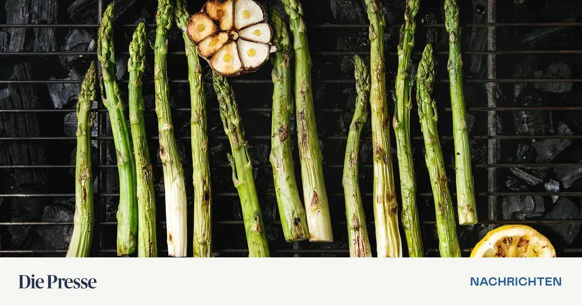 „Kein Mampf“: Wiener Grafiker macht aus Hitlers Pamphlet ein Kochbuch ...