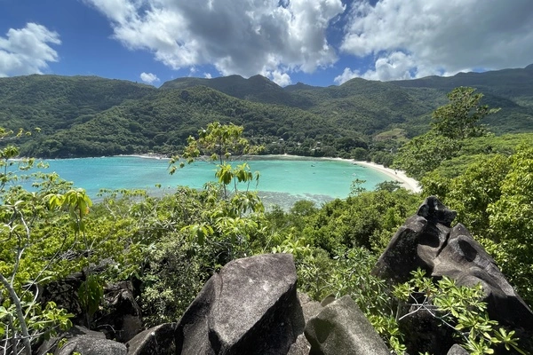 Renaturierung auf den Seychellen: Mangroven sind wahre Menschenfreunde ...