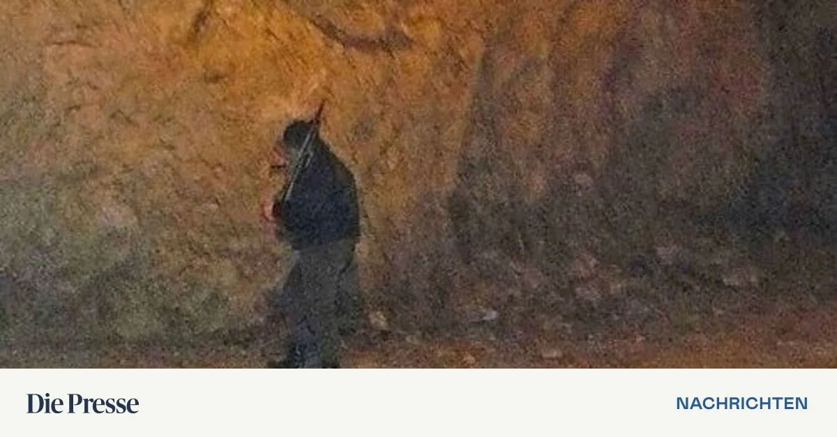 Störaktion im KZ Ebensee: Zwei Verdächtige in U-Haft – DiePresse.com
