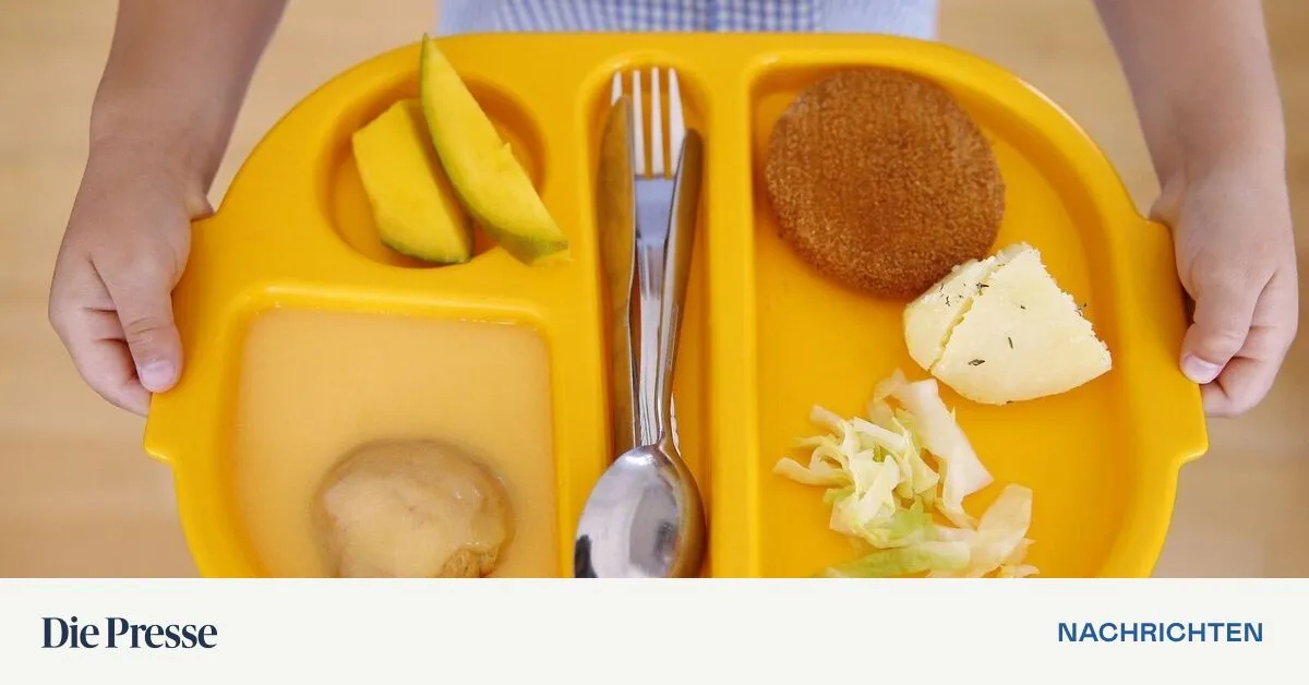 Wie Kinder in der Schulkantine gedemütigt werden – DiePresse.com