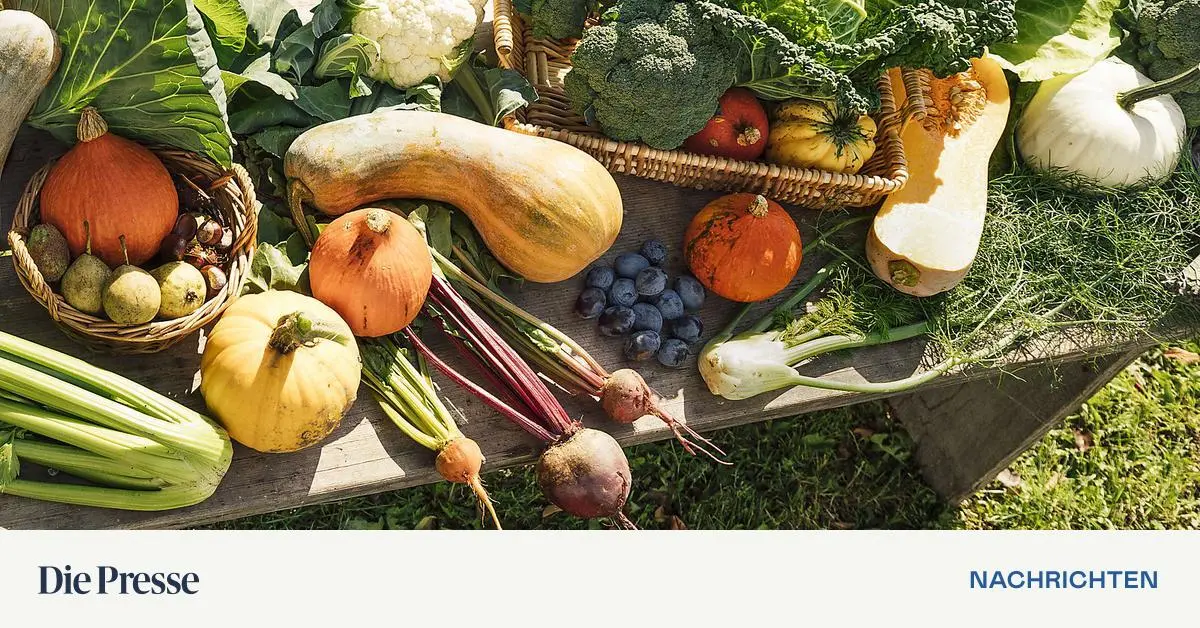 Gastronomie für zu Hause: Der neue Online-Supermarkt Gurkerl.at ...