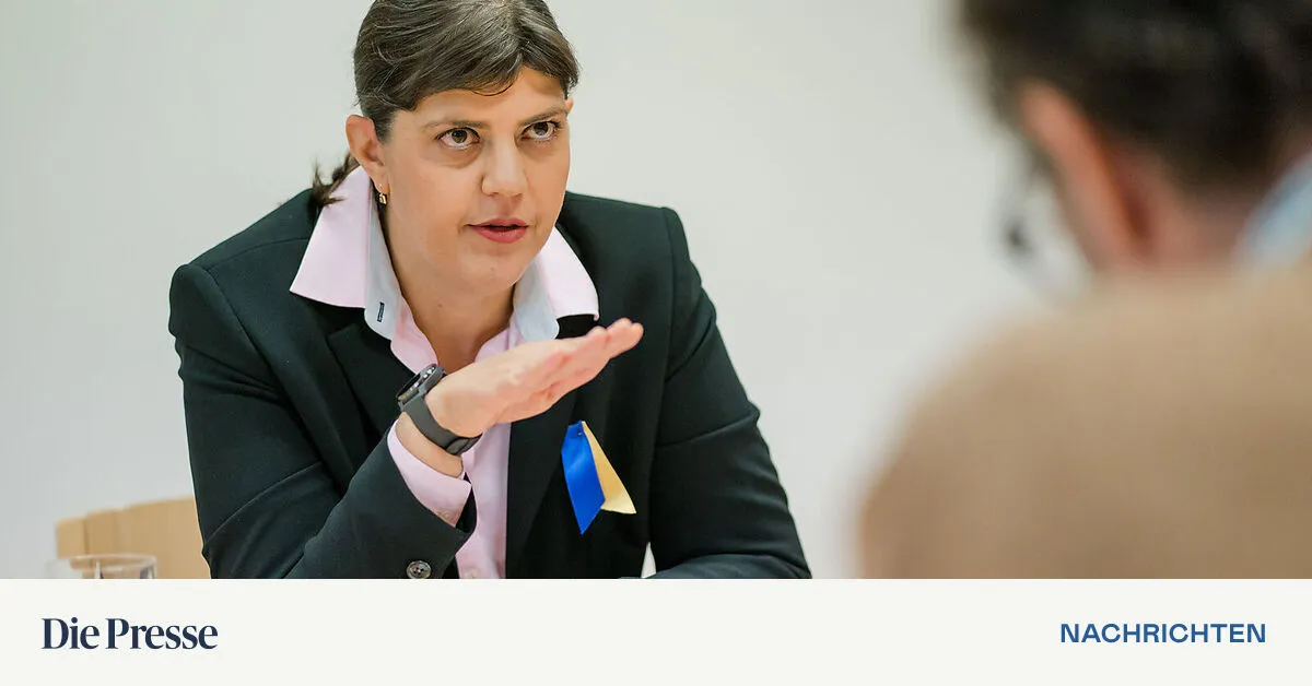 "Wir holen das Geld zurück, das den EU-Finanzministern durch die Lappen ...