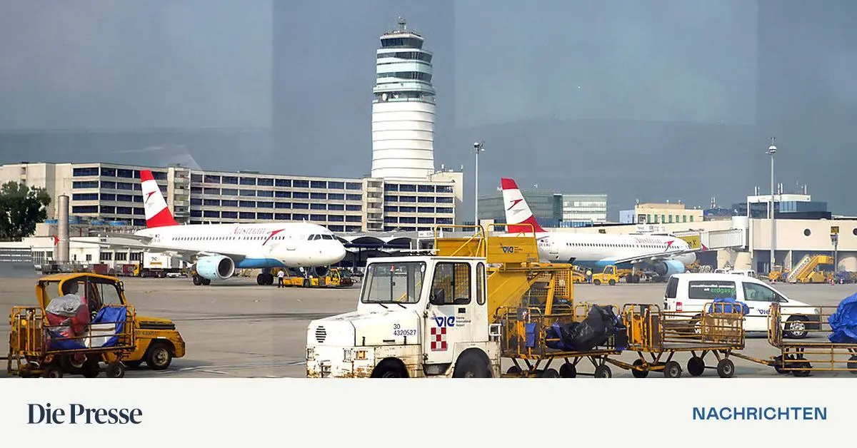 Flugzeug-Passagierin verzögerte Abschiebung | DiePresse.com