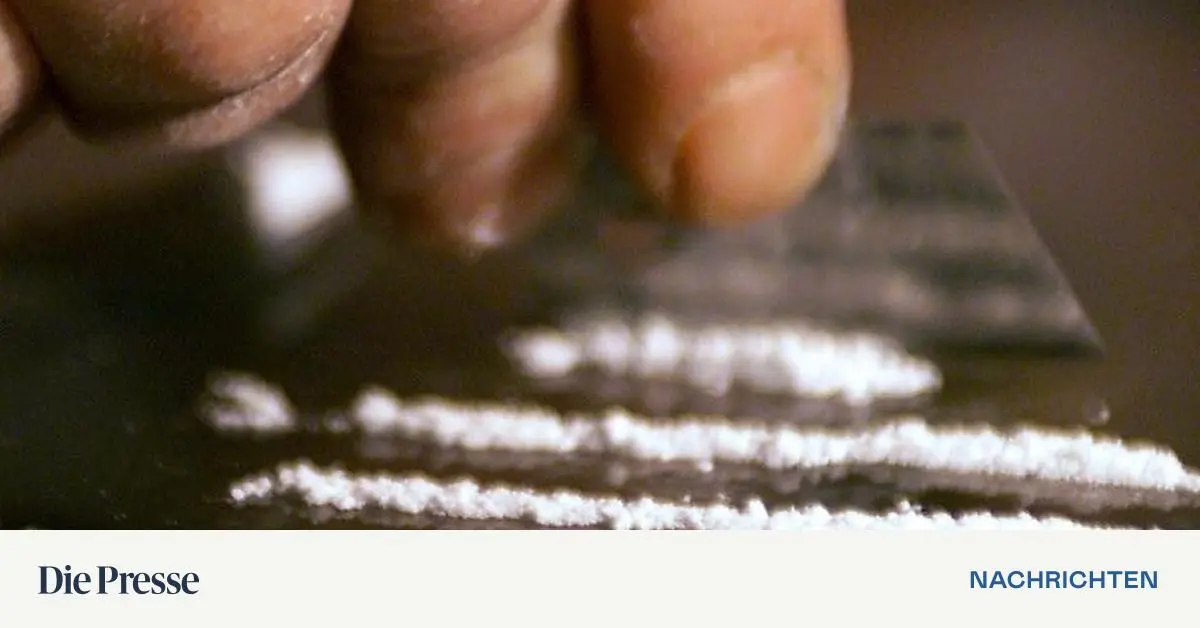 1,3 kg Kokain im Bauch: Schuldsprüche in Bodypacker-Prozess – DiePresse.com