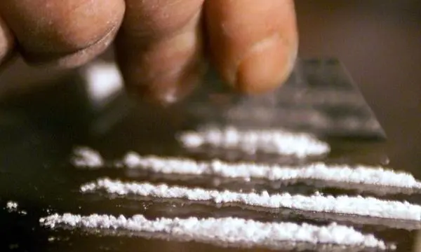 1,3 kg Kokain im Bauch: Schuldsprüche in Bodypacker-Prozess – DiePresse.com