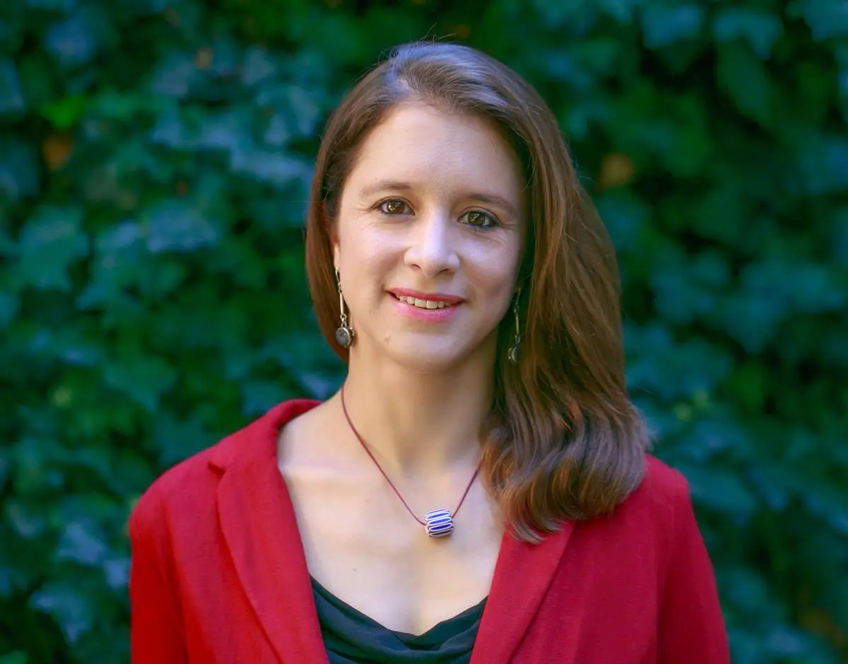 Kann Physik politische Polarisierungen erklären? – DiePresse.com