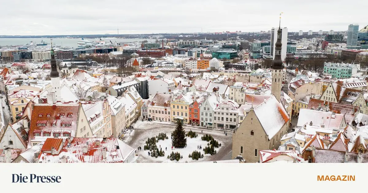 Tallinn: Professionell von Wehrturm bis Sauna – DiePresse.com