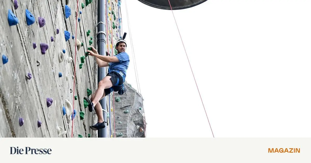 Der Staatssekretär klettert für die Klicks – DiePresse.com