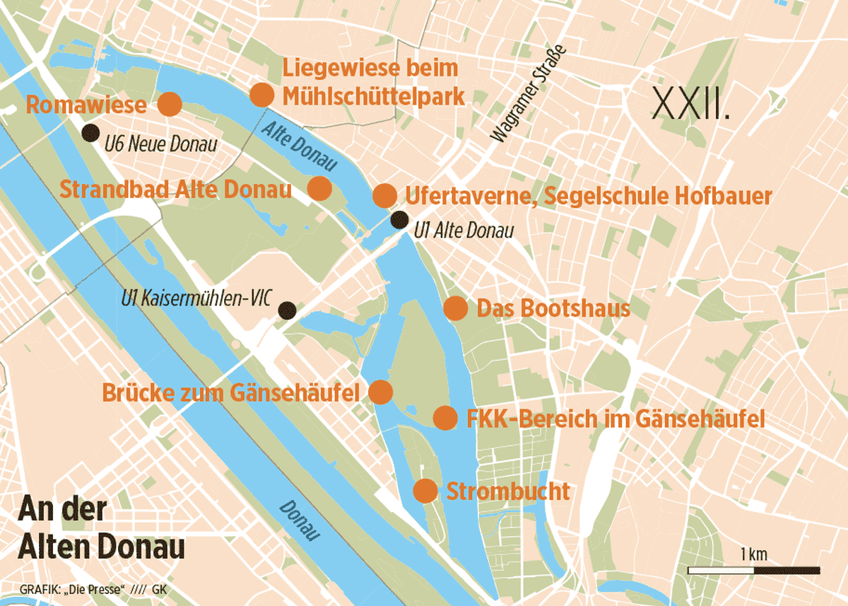 Zur Alten Donau! Eine (Ver)Führung – DiePresse.com
