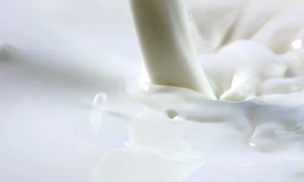 Wir trinken Milch und süt, latte und lait, halib und téj – DiePresse.com