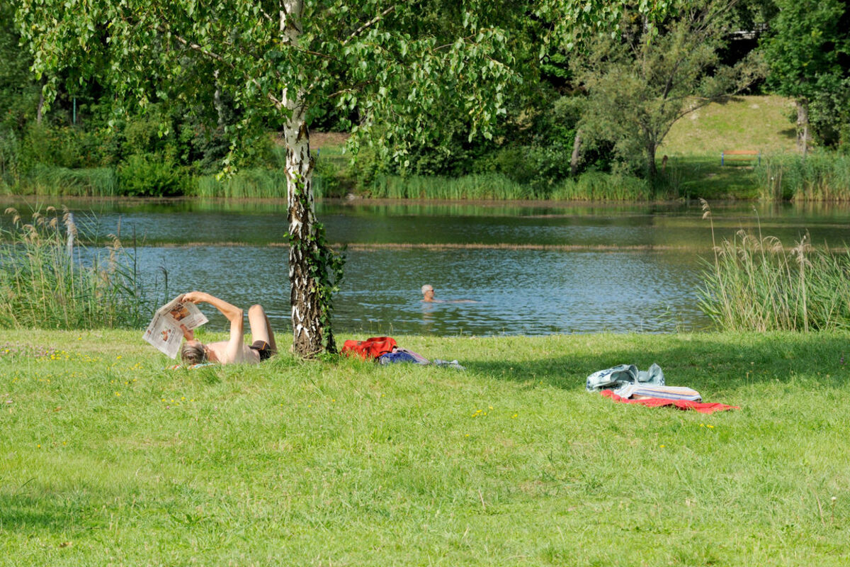 Neues Freibad an der Alten Donau – DiePresse.com