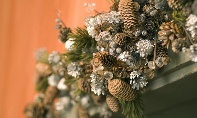 Woraus bestehen Zapfen? | DiePresse.com