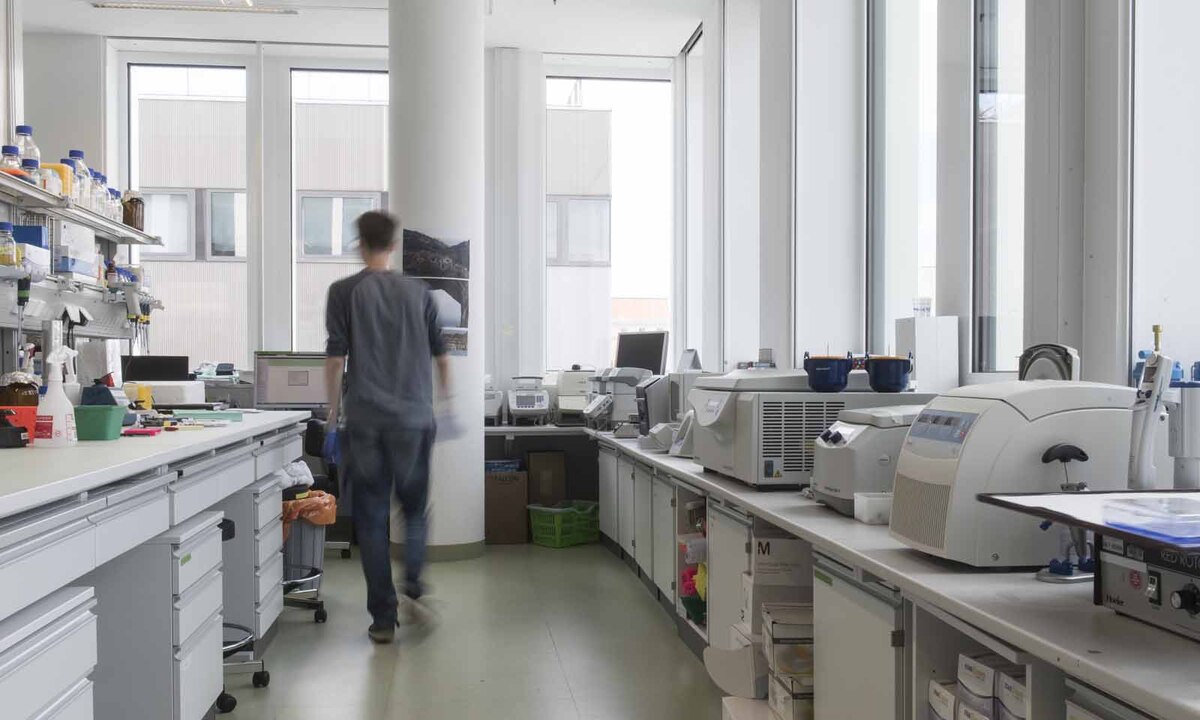 IMP im Vienna Biocenter: Forschung mit Kuschelfaktor – DiePresse.com