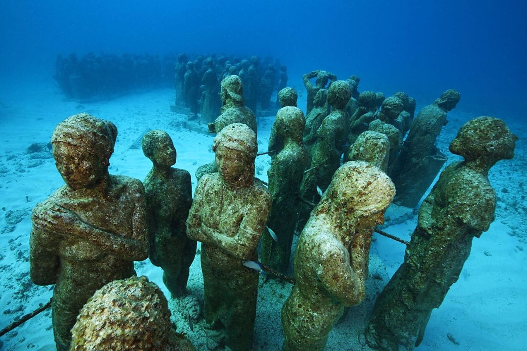 Die zehn außergewöhnlichsten Museen der Welt | DiePresse.com