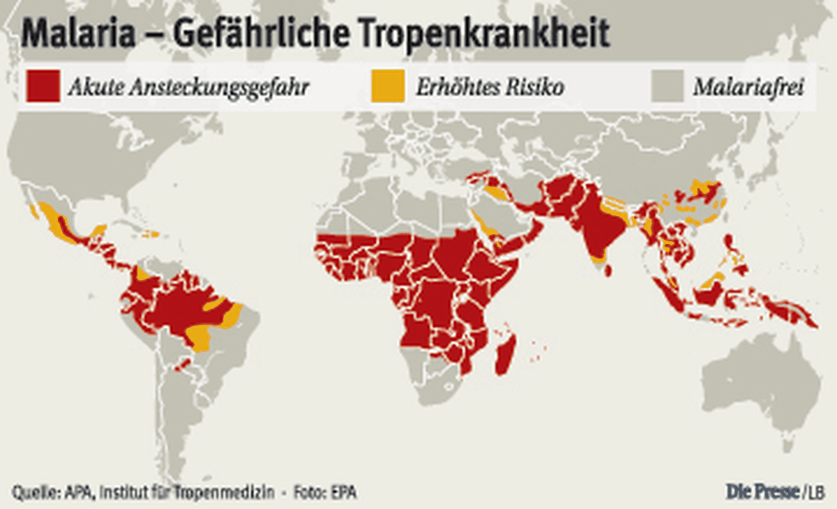 Welt-Malaria-Tag: Das Netz, das die Todesmücke aufhält | DiePresse.com