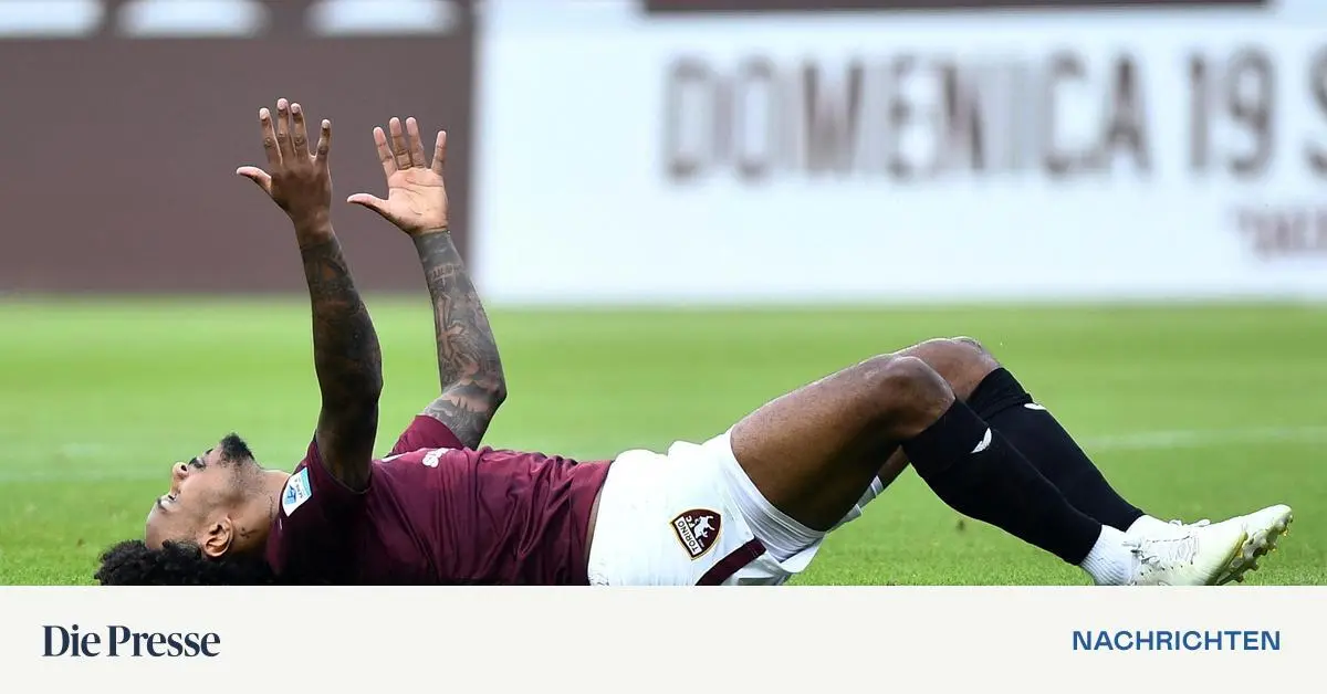 Red Bull steigt bei FC Torino in Serie A ein – DiePresse.com