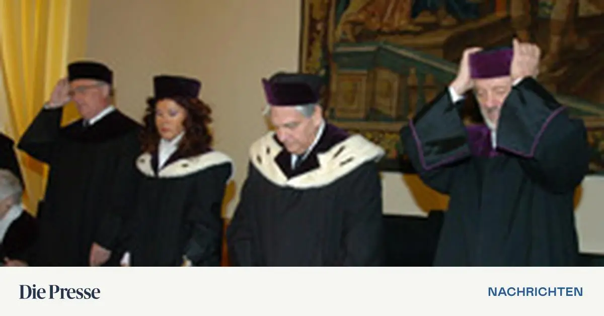 Fein- statt Grobprüfung durch den VfGH? – DiePresse.com