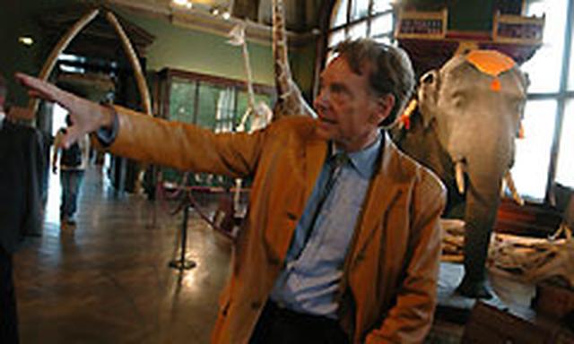 Lötsch : „Antal Festetics hat keine Ahnung!“ | DiePresse.com