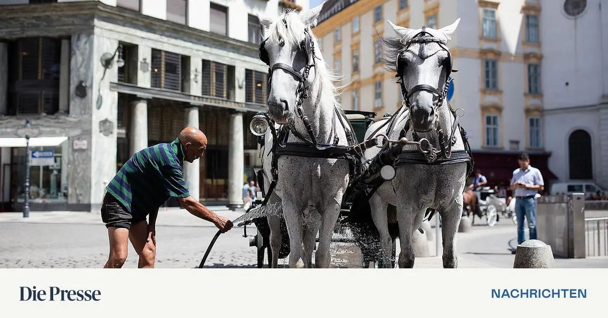 Heisser Ritt zum ersten Fiaker-Urteil – DiePresse.com