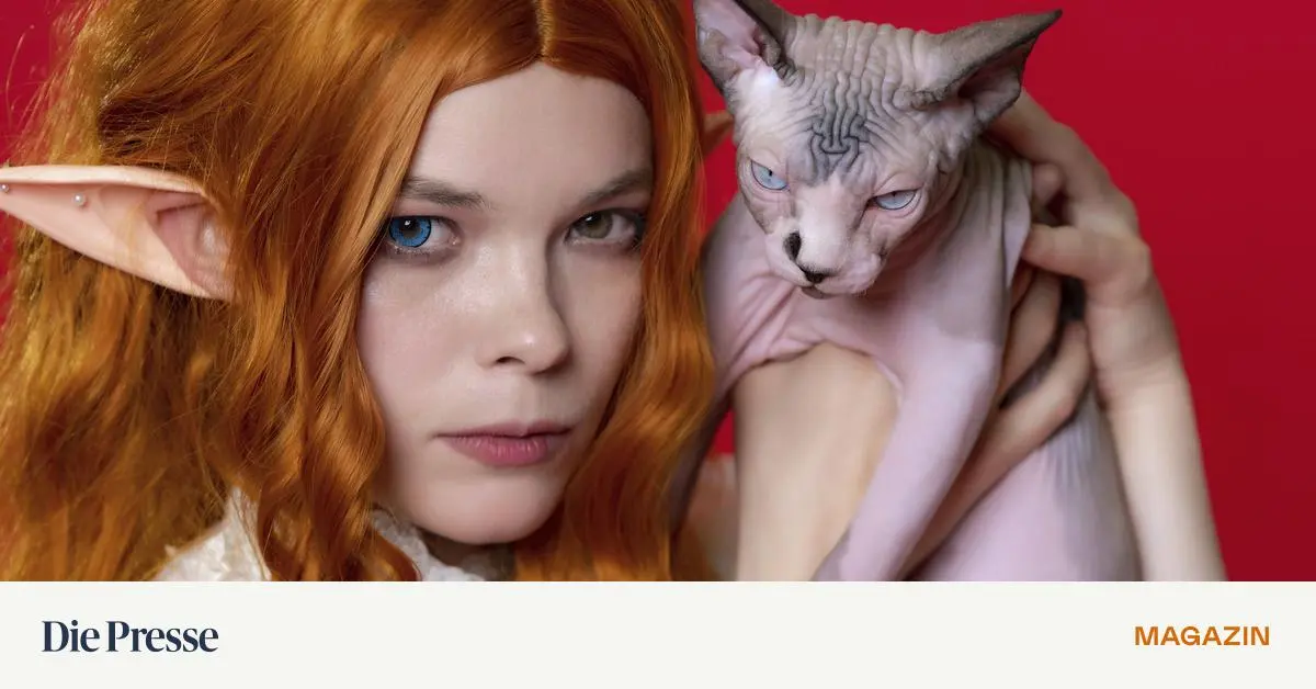 Von Feen und Tieren – drei Buchtipps aus der Spectrum-Redaktion ...