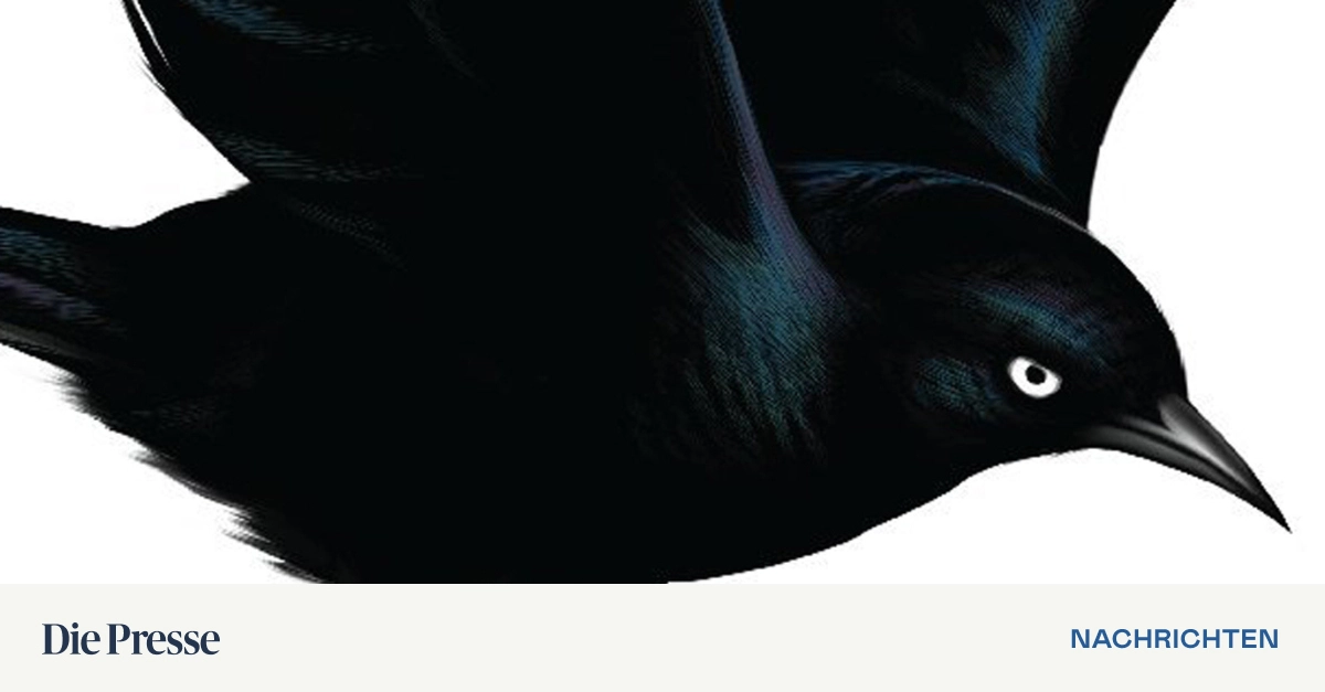 Fat Freddy's Drop - "Blackbird" – DiePresse.com