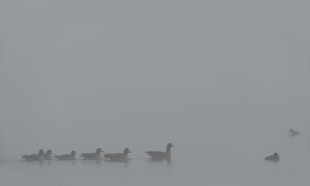 Mitte der Woche kommt der Wetterumschwung – DiePresse.com