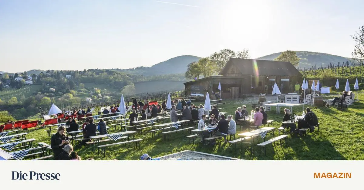 Buschenschank-Saison: Der Heurige zieht nach draußen – DiePresse.com
