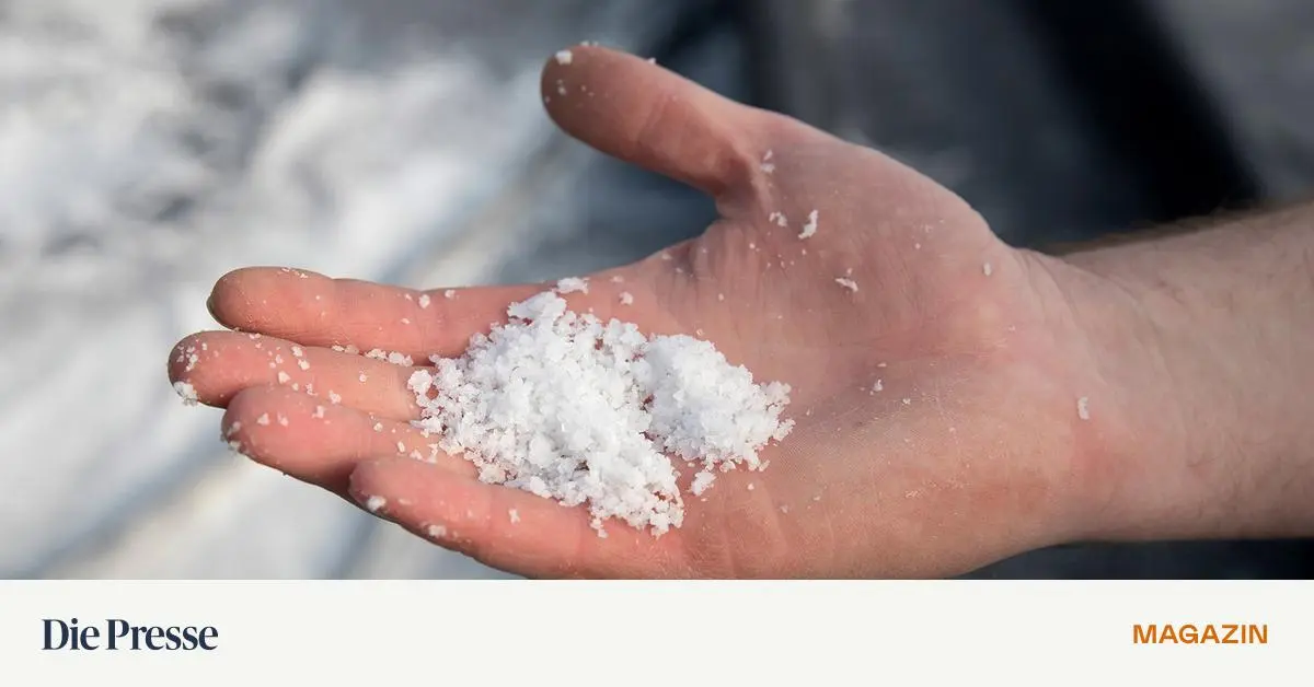 Wie kommt das Salz ins Meer? – DiePresse.com