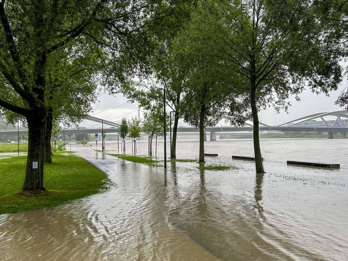 Donau tritt in Linz über das Ufer – Pegelstand von sieben Metern ...
