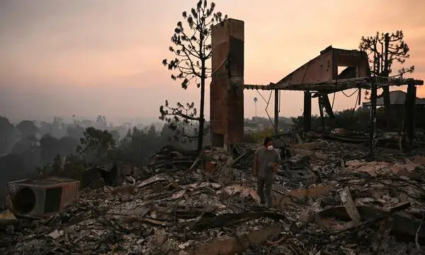 Los Angeles: Wie Steve Miller seine Wiener Familiengeschichte im Feuer ...