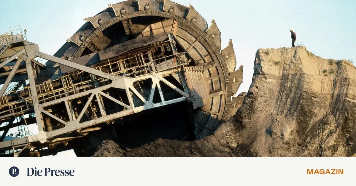 Selber schuld: Warum die Empörung auch uns selbst gelten sollte ...