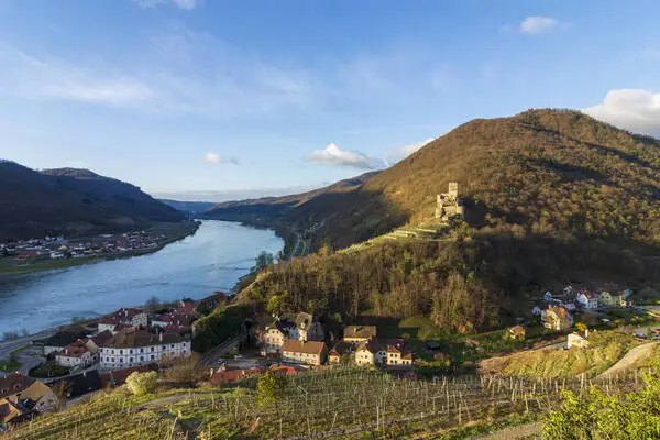 Ein „Musterbeispiel für einen Wachauer Grünen Veltliner“ – DiePresse.com