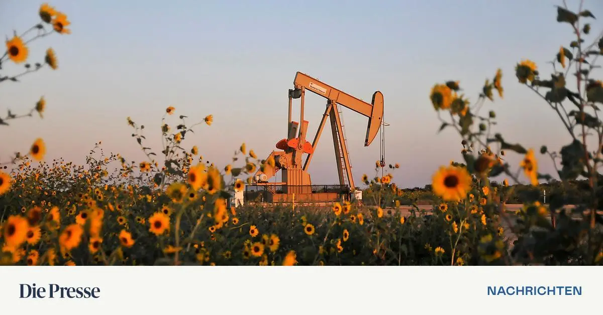 Preise für Haushaltsenergie 2018 um 5,2 Prozent gestiegen – DiePresse.com