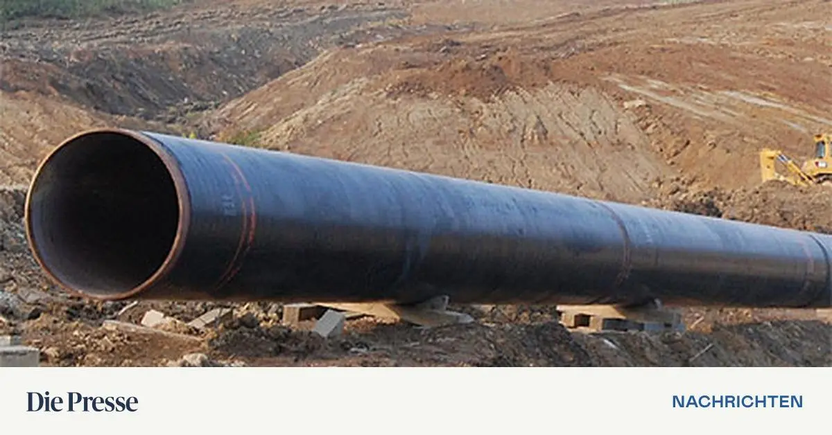 Energie: Econgas: „Mit Nabucco Gas aus Iran“ | DiePresse.com