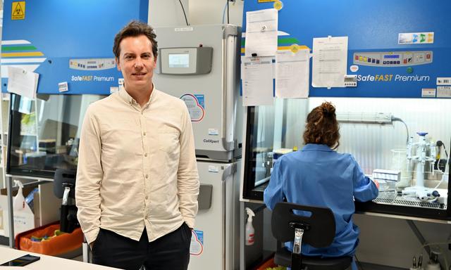 In St. Marx wachsen Embryomodelle im Labor | DiePresse.com