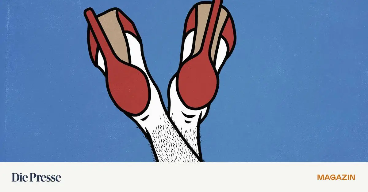 Mark Bryan: High-Heels und Röcke statt Anzug und Krawatte – DiePresse.com