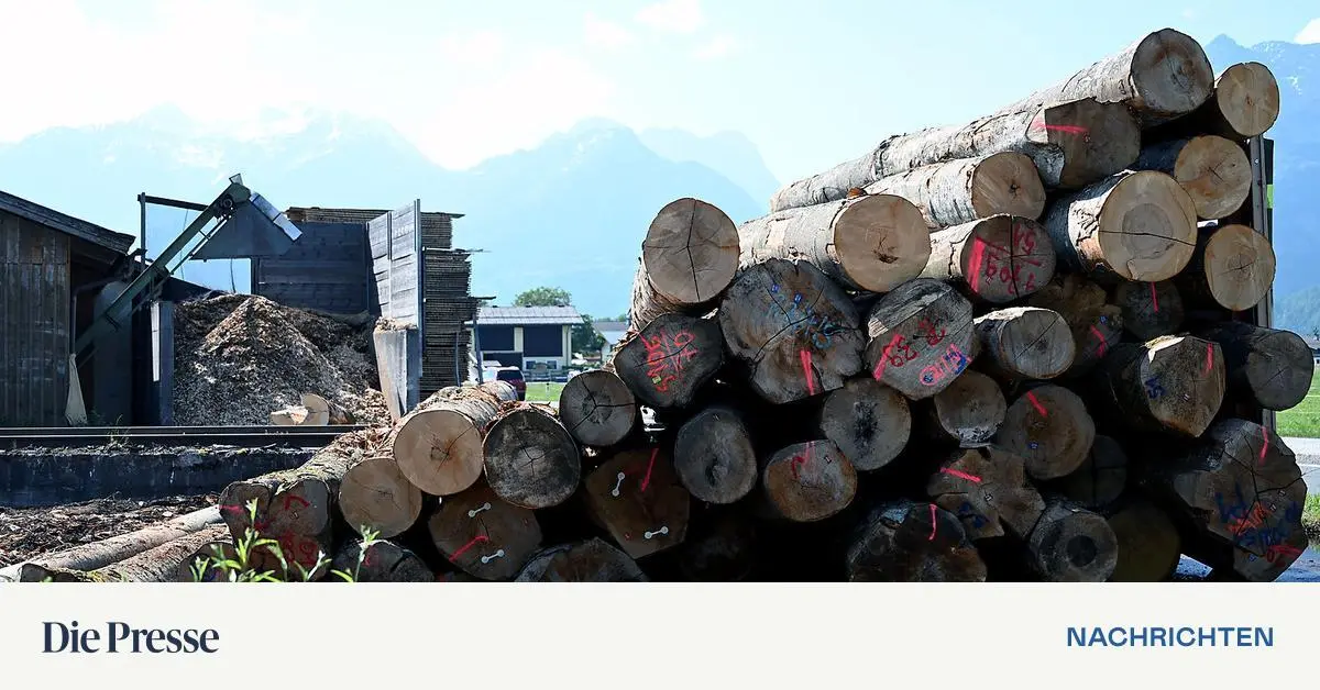 Bauboom treibt Baukosten auf Rekordhöhe | DiePresse.com