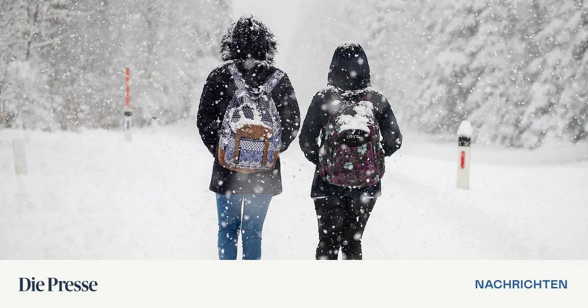 Schneechaos in Osttirol: Erneut 4500 Haushalte ohne Strom – DiePresse.com