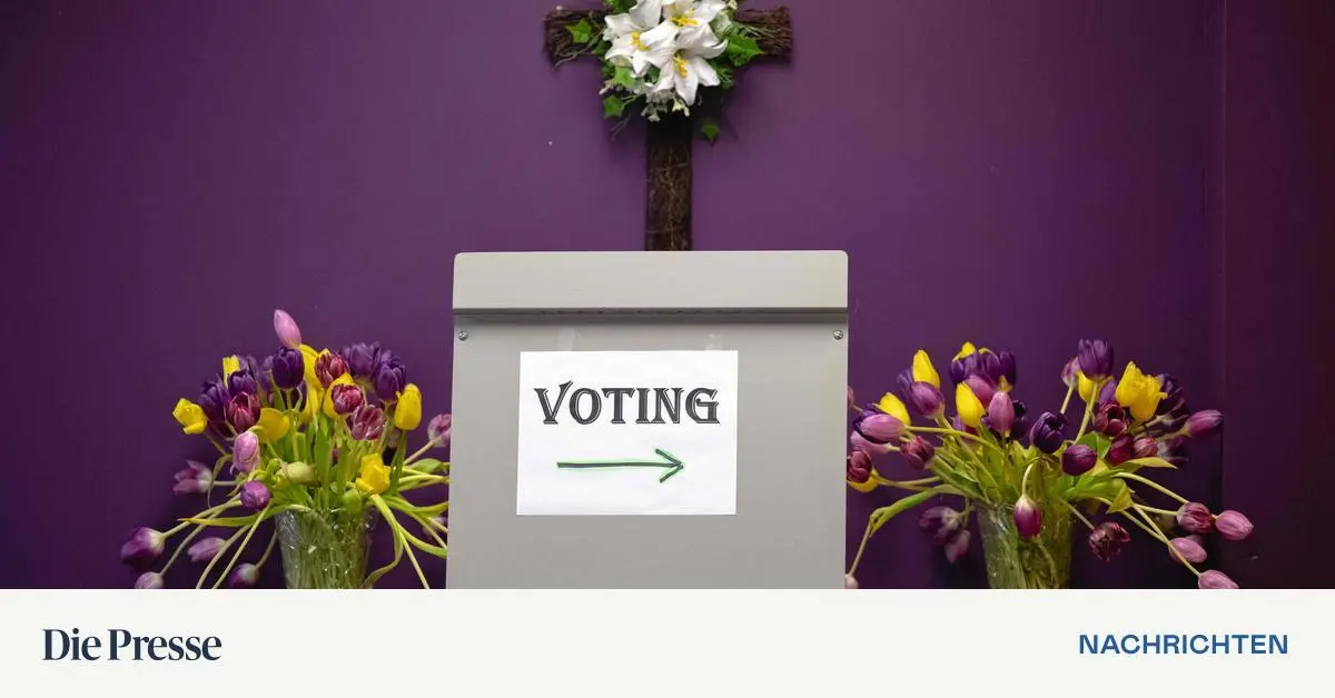 Koochiekachow17 xxx i got a tiny lost looking for her spot