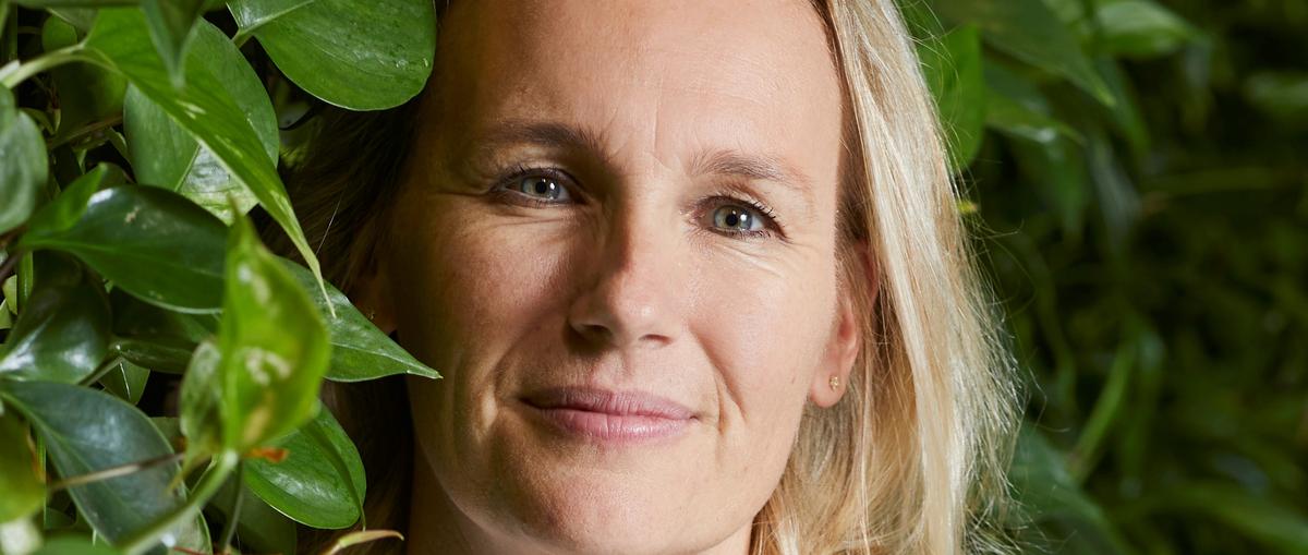 Wer hat gewechselt? Wer wurde befördert? | DiePresse.com