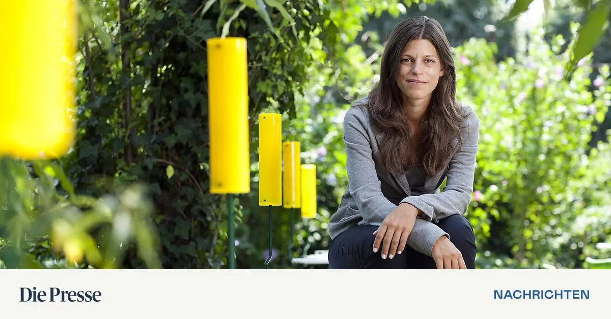 Laura Rudas wird Verwaltungsrätin im Medienkonzern Ringier – DiePresse.com