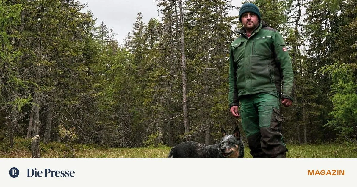 "Wutbauer" nach Spendenaufruf schuldenfrei | DiePresse.com