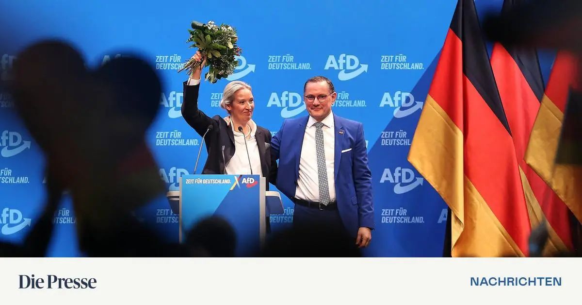 Erbin spendete AfD fast sechs Millionen Euro – DiePresse.com