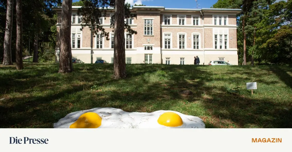 Messe Parallel: Wo Trauma war, soll Kunst werden – DiePresse.com